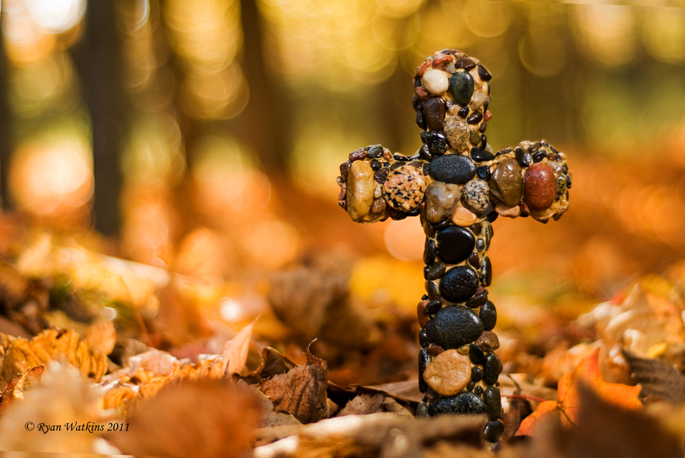 Offering Gratitude | The Rees-Jones Foundation