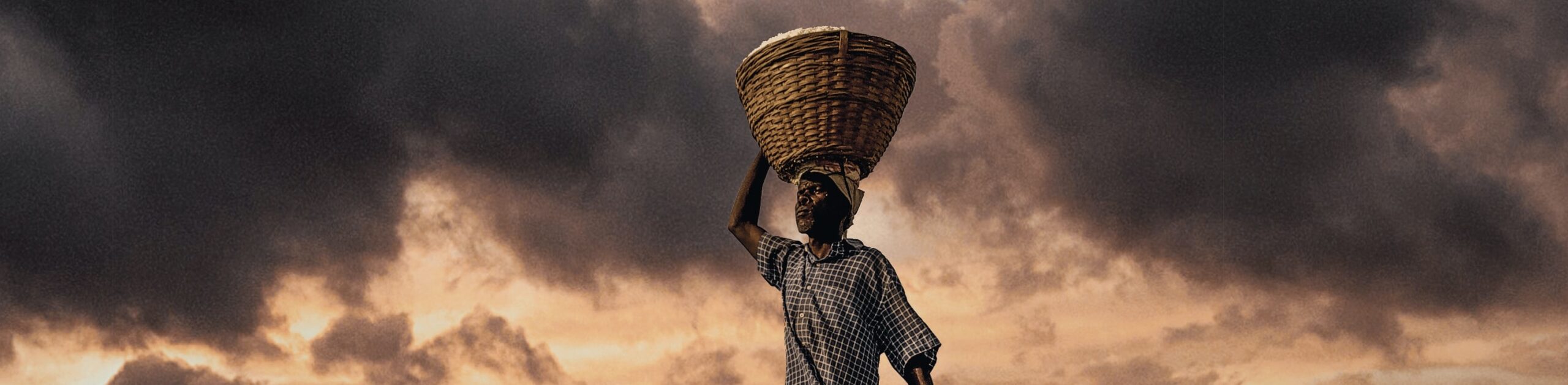 Prevent Human Misery Rather Than Avenge | The Rees-Jones Foundation